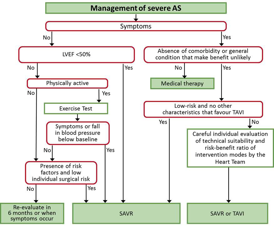 What is new for general cardiologists in the 2017 ESC Guidelines on valvular hea